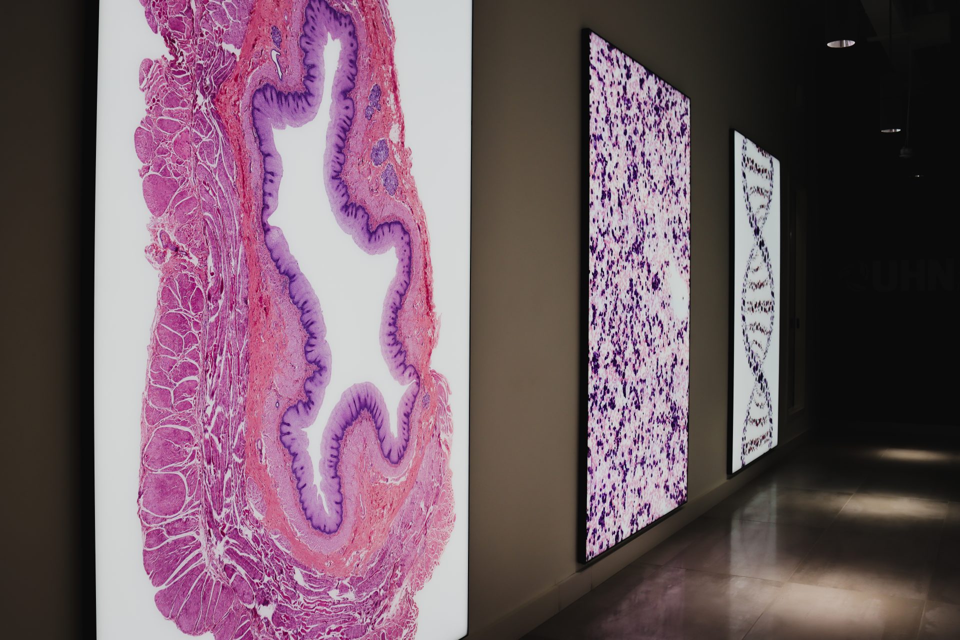 Our Services - Digital Pathology — Princess Margaret Cancer Biobank