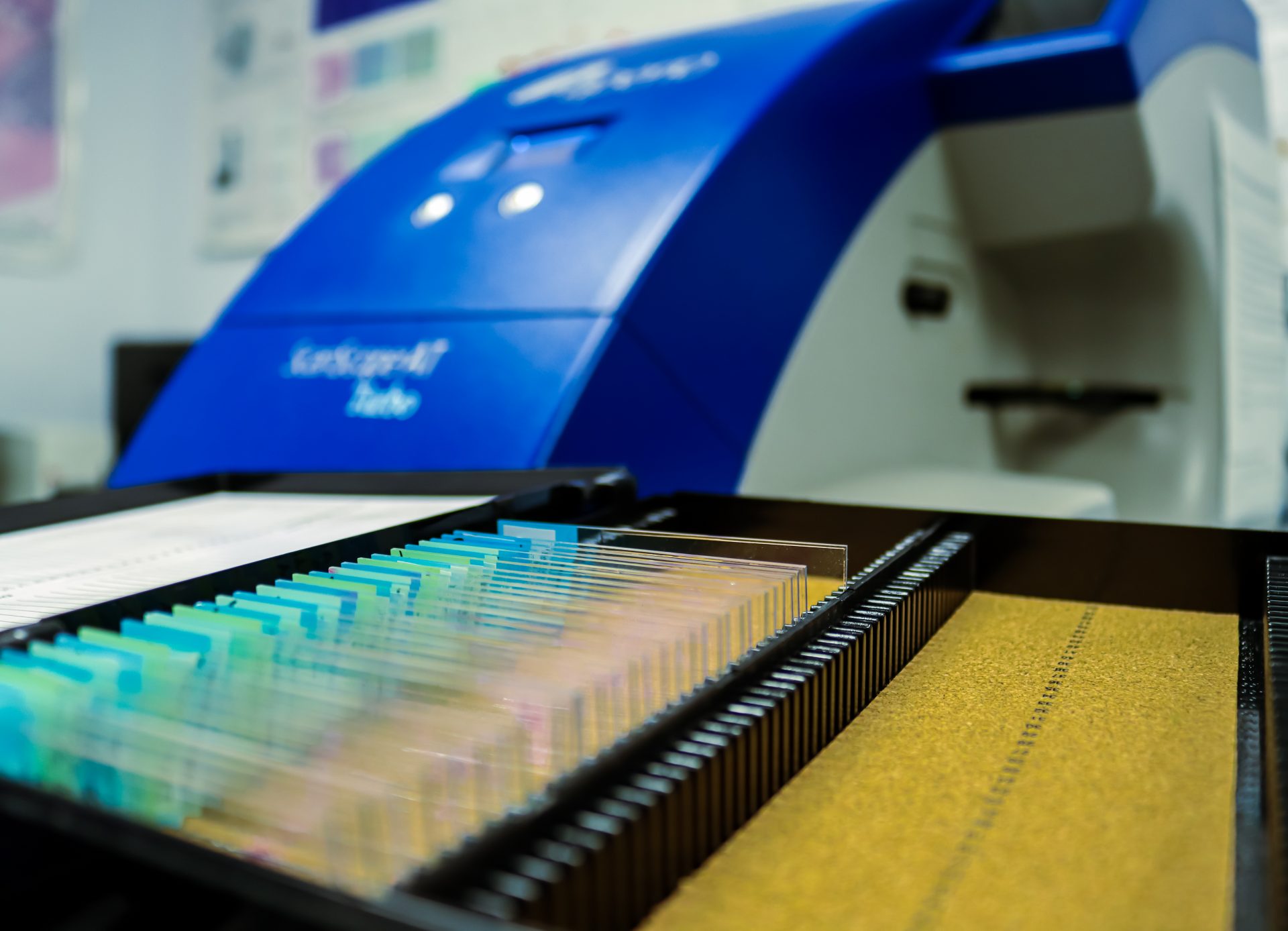 Our Services - Digital Pathology — Princess Margaret Cancer Biobank