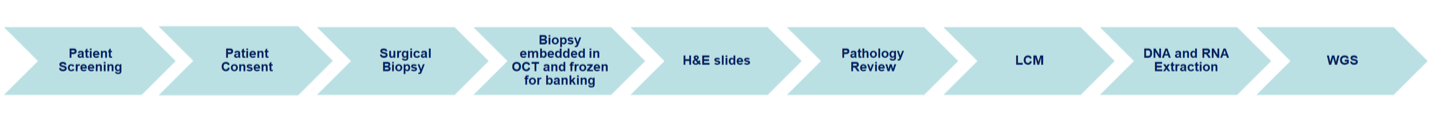 Our Services - Digital Pathology — Princess Margaret Cancer Biobank